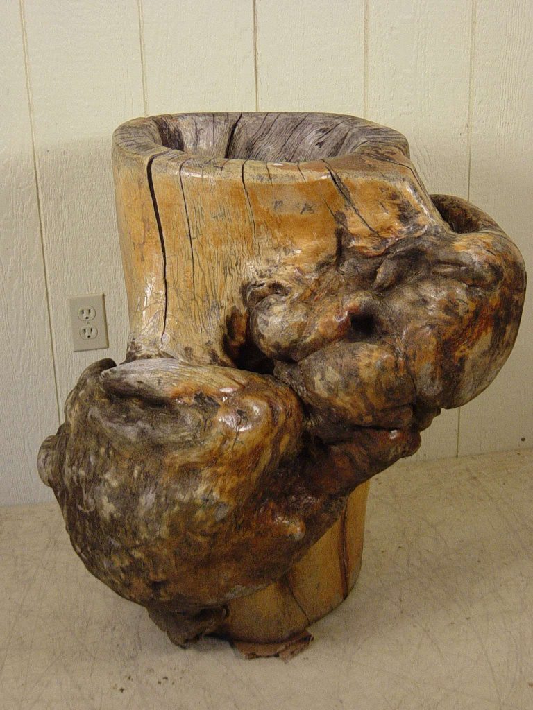 Very Unusual Hollow Tree Trunk made into a Planter - Doug Schmitt Antiques